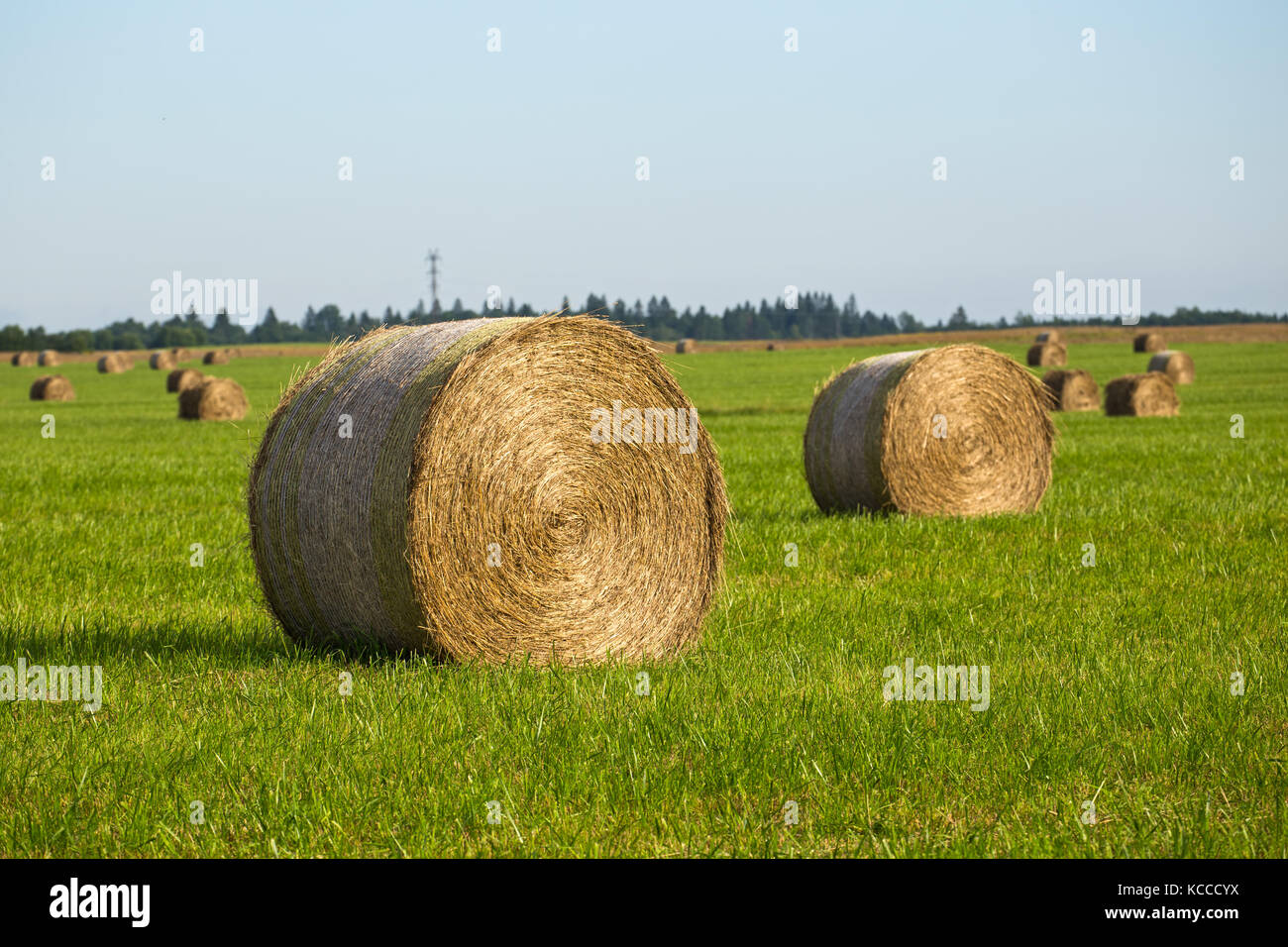 Rolls of haystacks hi-res stock photography and images - Alamy