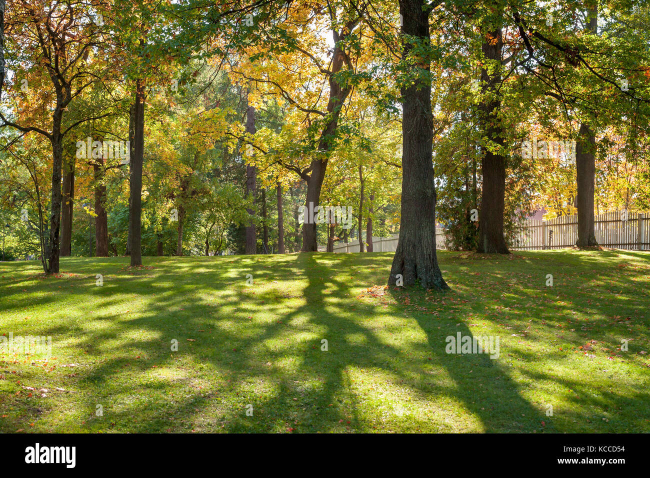 Sunshine through trees in city park Stock Photo - Alamy