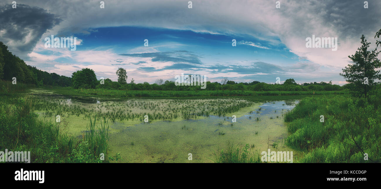 Beautiful summer landscape Stock Photo - Alamy