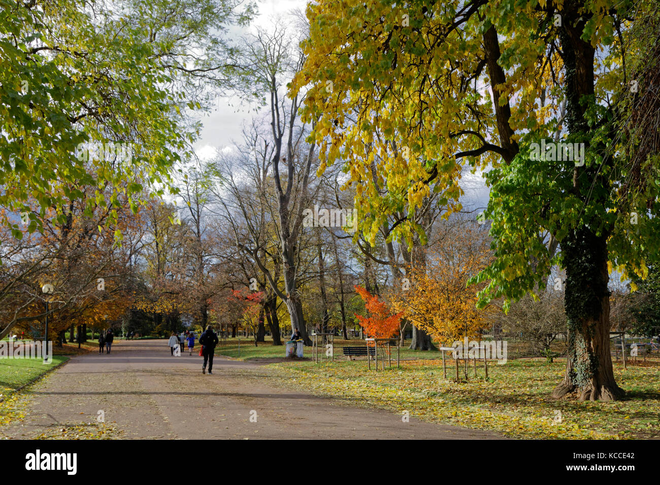 LYON, FRANCE, November 19, 2016 : Fall in Parc de la Tete d'Or. The ...