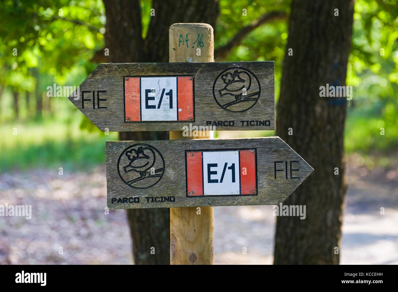 "La Fagiana" natural reserve, Ticino park, Pontevecchio di Magenta ...