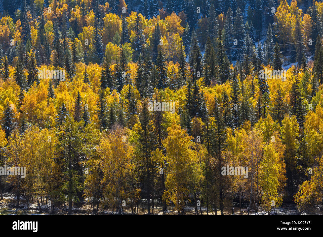 Southern siberia hi-res stock photography and images - Alamy