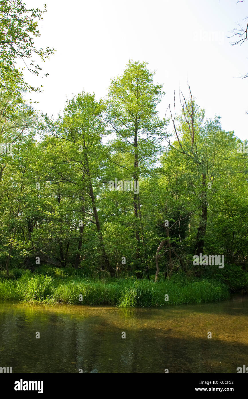 "La Fagiana" natural reserve, Ticino park, Pontevecchio di Magenta ...