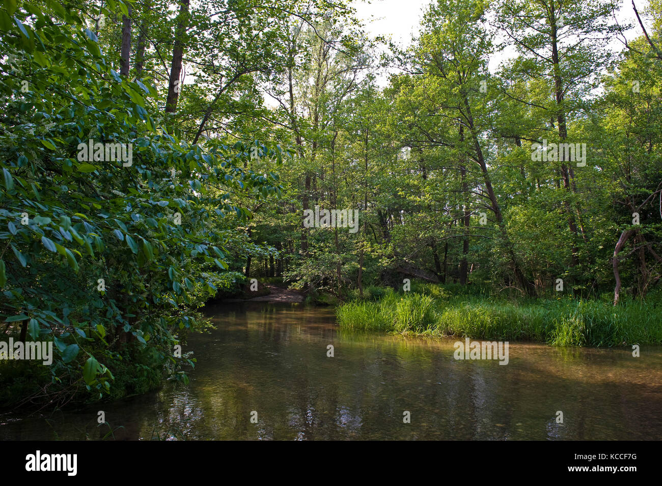 "La Fagiana" natural reserve, Ticino park, Pontevecchio di Magenta ...
