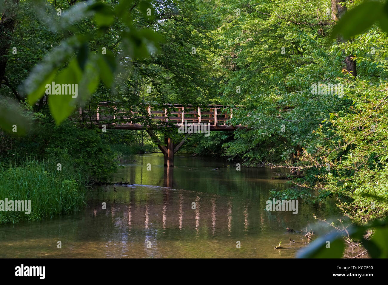 "La Fagiana" natural reserve, Ticino park, Pontevecchio di Magenta ...