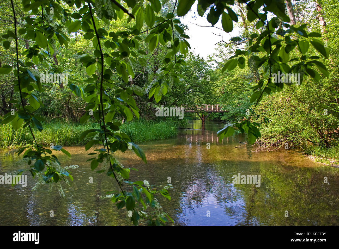 "La Fagiana" natural reserve, Ticino park, Pontevecchio di Magenta ...