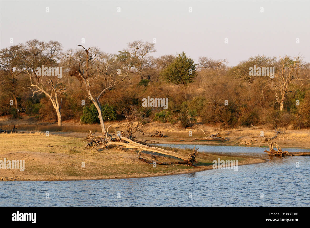 Kruger national park safaris hi-res stock photography and images - Alamy