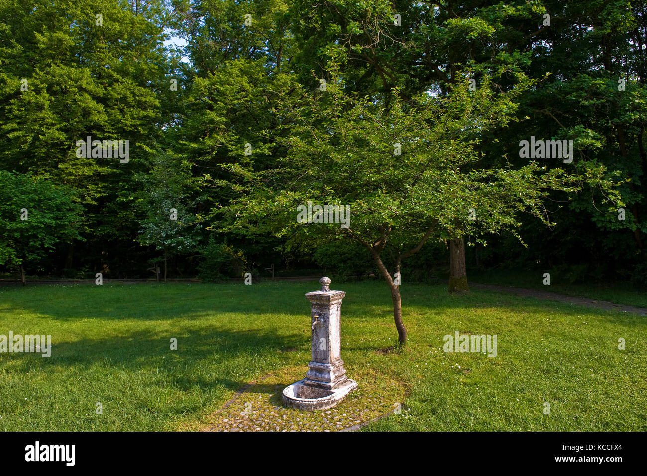 "La Fagiana" natural reserve, Ticino park, Pontevecchio di Magenta ...