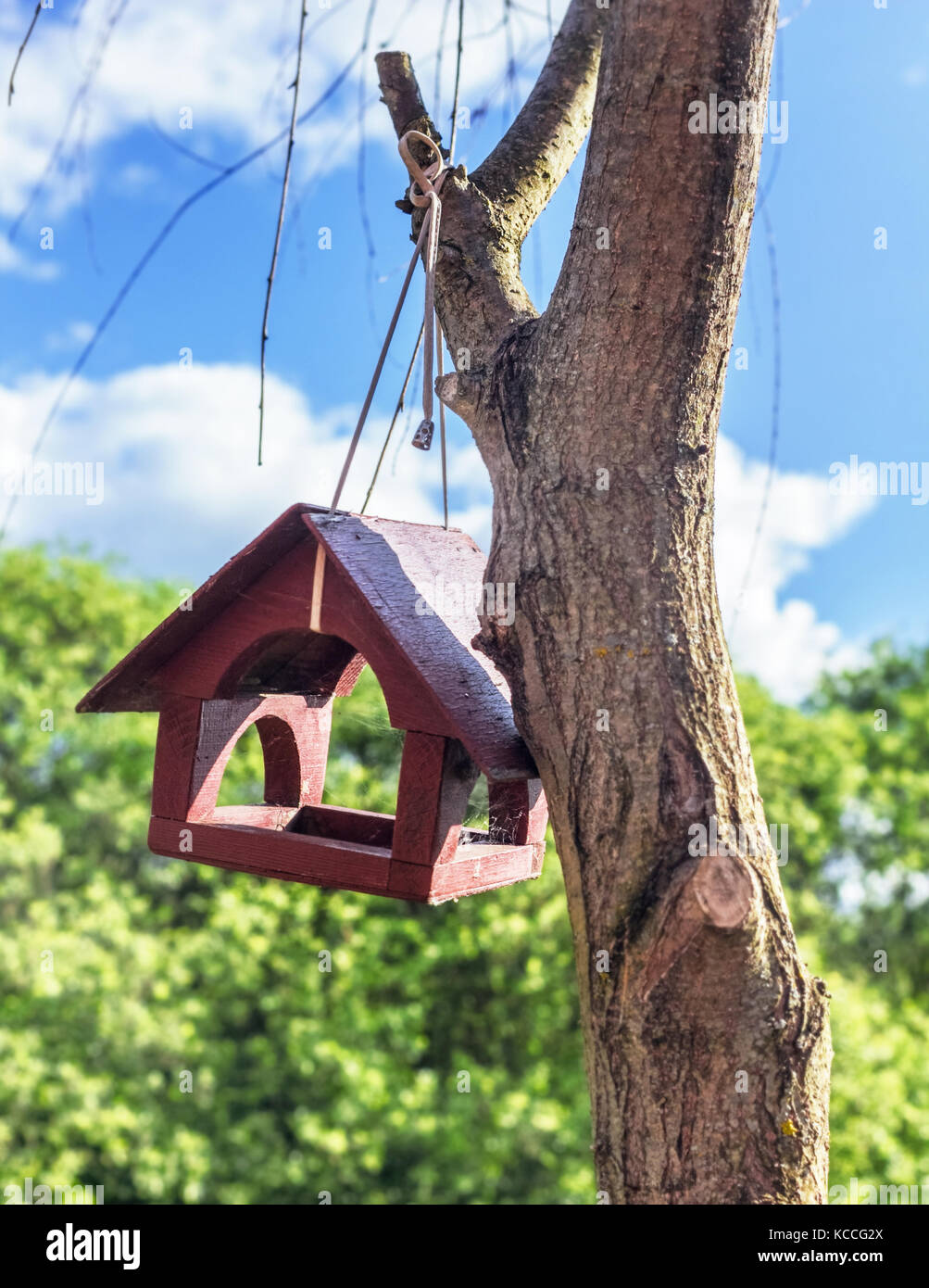 Wooden feeding trough for birds hanging on tree at sunny day Stock ...