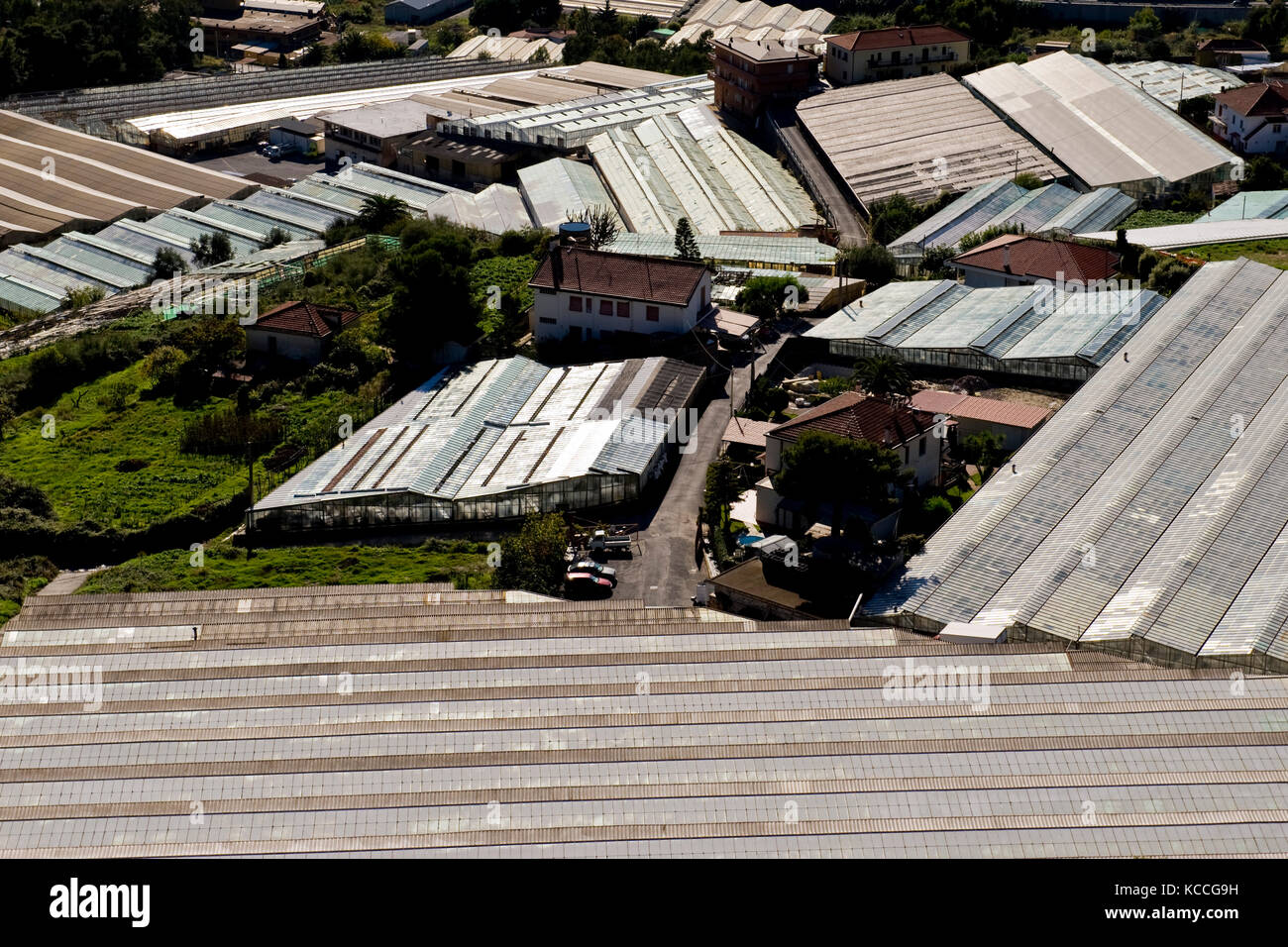 Flowers factory, Sanremo, Liguria, Italy Stock Photo - Alamy