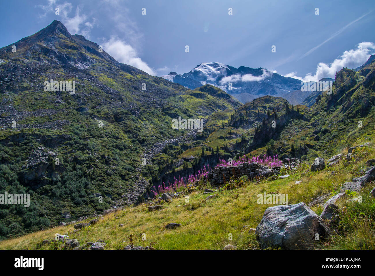 landscape of the Swiss Alps Stock Photo - Alamy