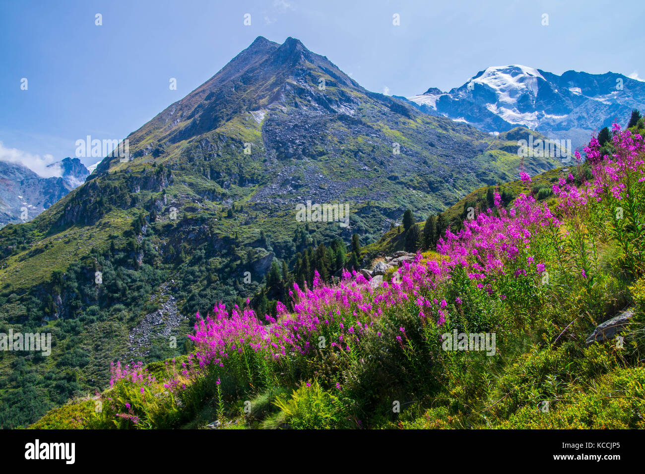 landscape of the Swiss Alps Stock Photo - Alamy