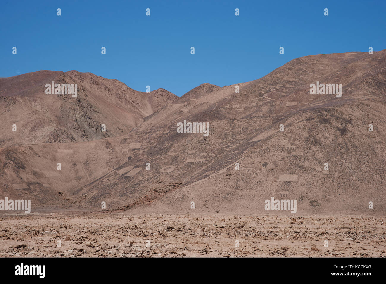 Large group of ancient petroglyphs on the hillsides at Cerro Pintados ...