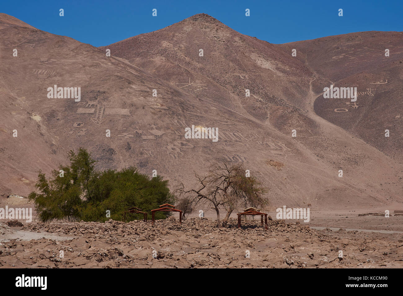 Large group of ancient petroglyphs on the hillsides at Cerro Pintados ...