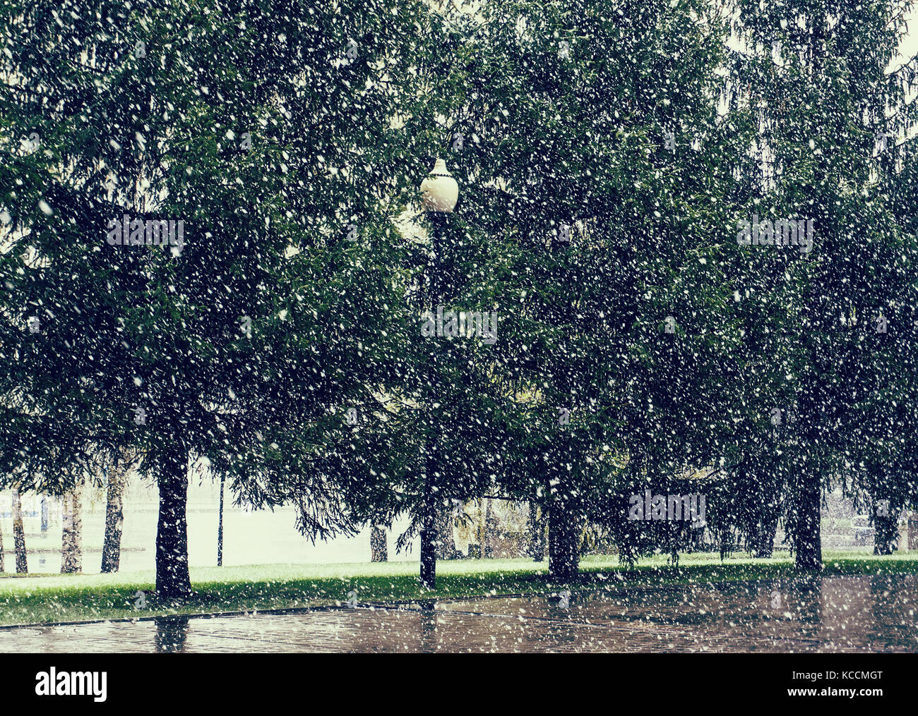 The first snow fall. Autumn frosts. Bad weather. Snowfall on the ...