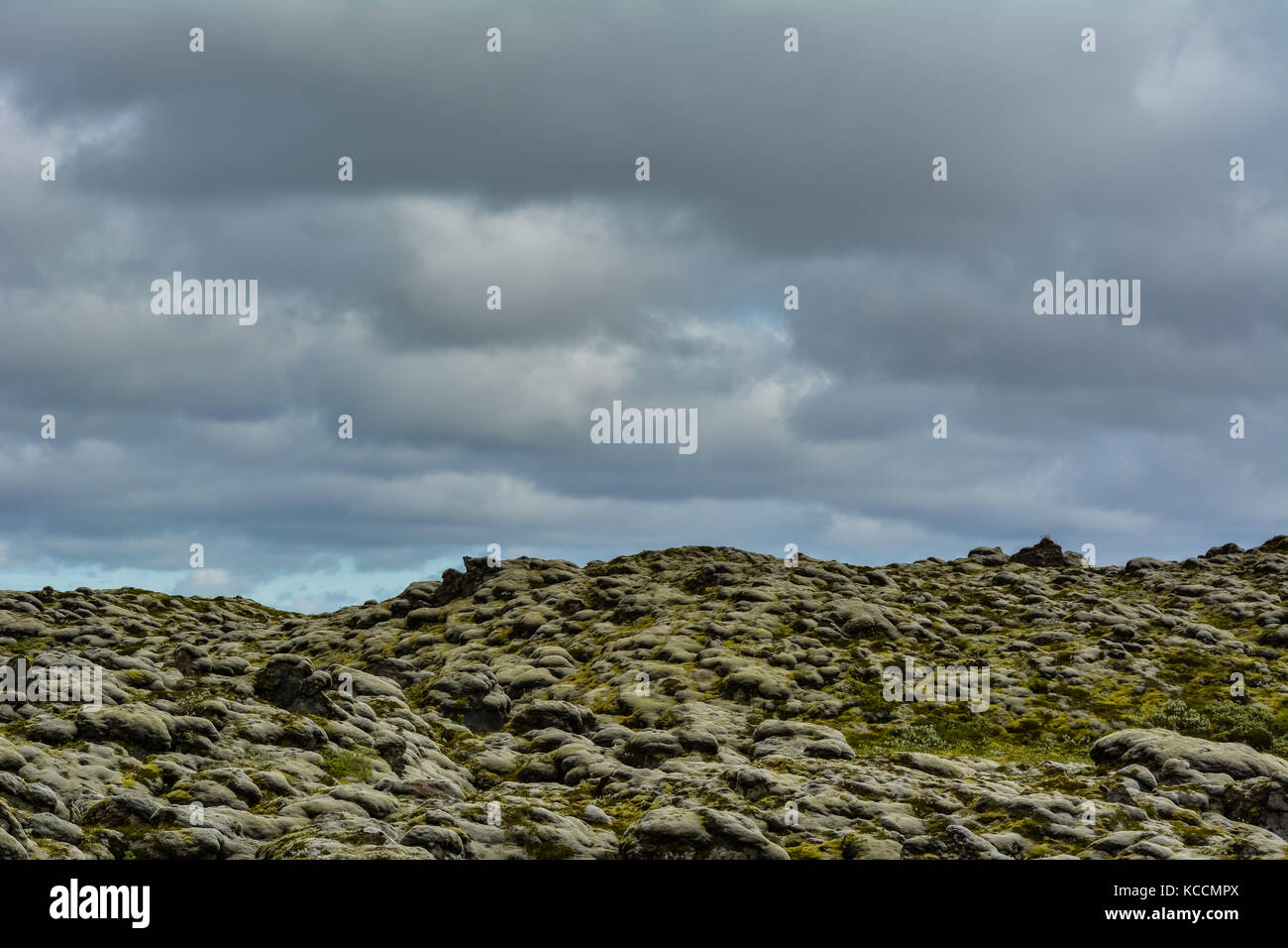 Typical Icelandic landscape with lava stones covered by green moss and ...