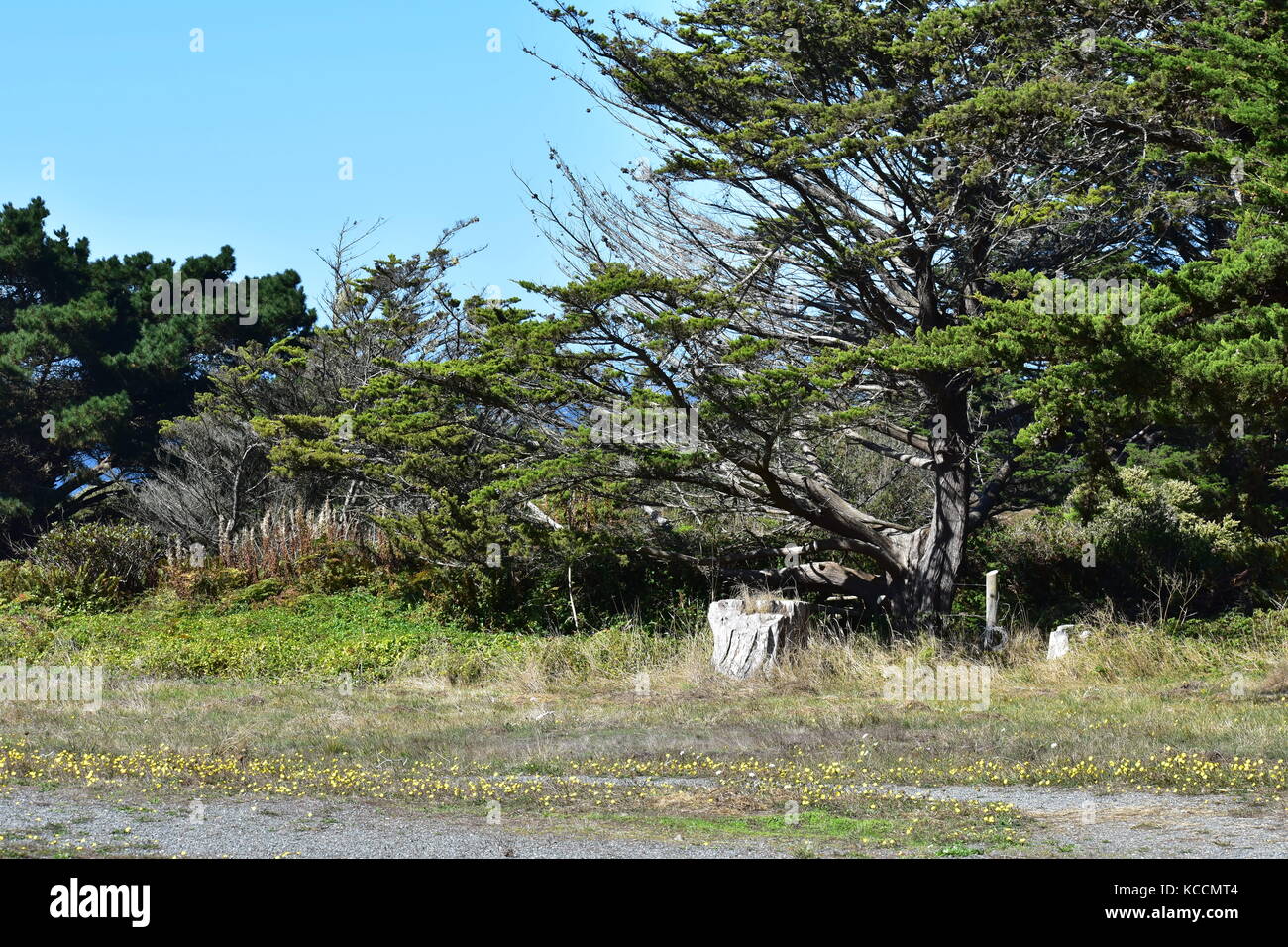 Cliff Top Path Stock Photo - Alamy