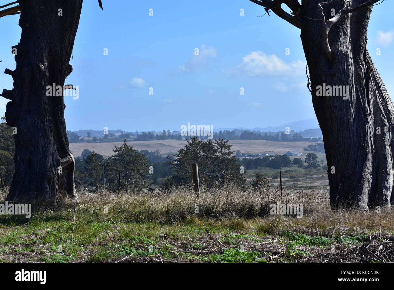 The hills are alive hi-res stock photography and images - Alamy