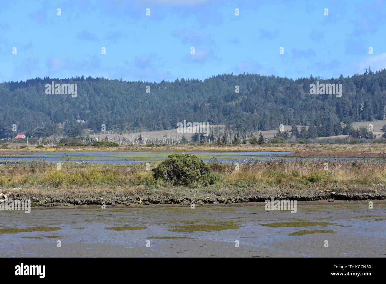 Beautiful marshlands hi-res stock photography and images - Alamy