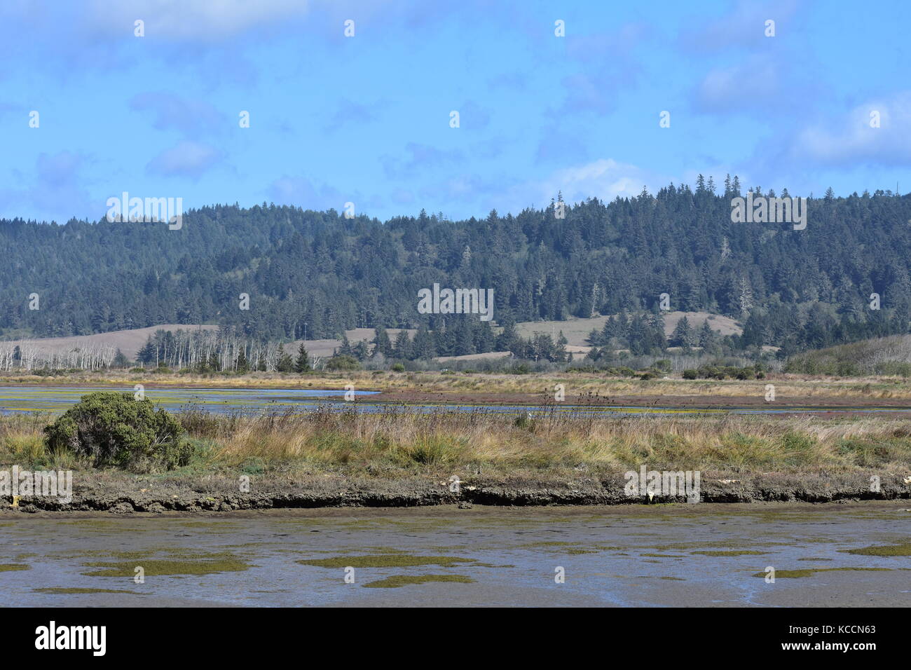 Marshlands hi-res stock photography and images - Alamy