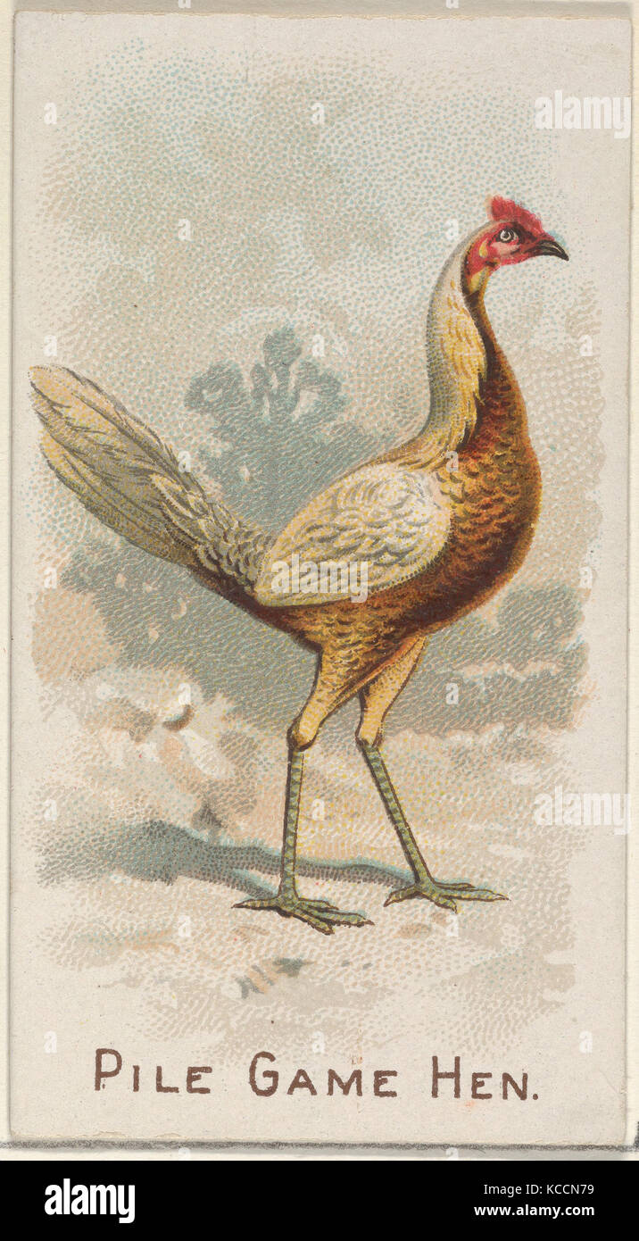 Pile Game Hen, from the Prize and Game Chickens series (N20) for Allen ...