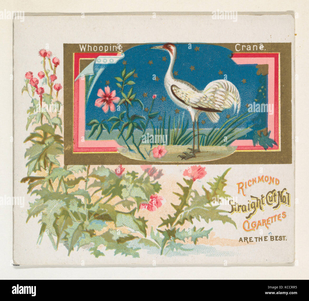 Whooping Crane, from the Game Birds series (N40) for Allen & Ginter ...