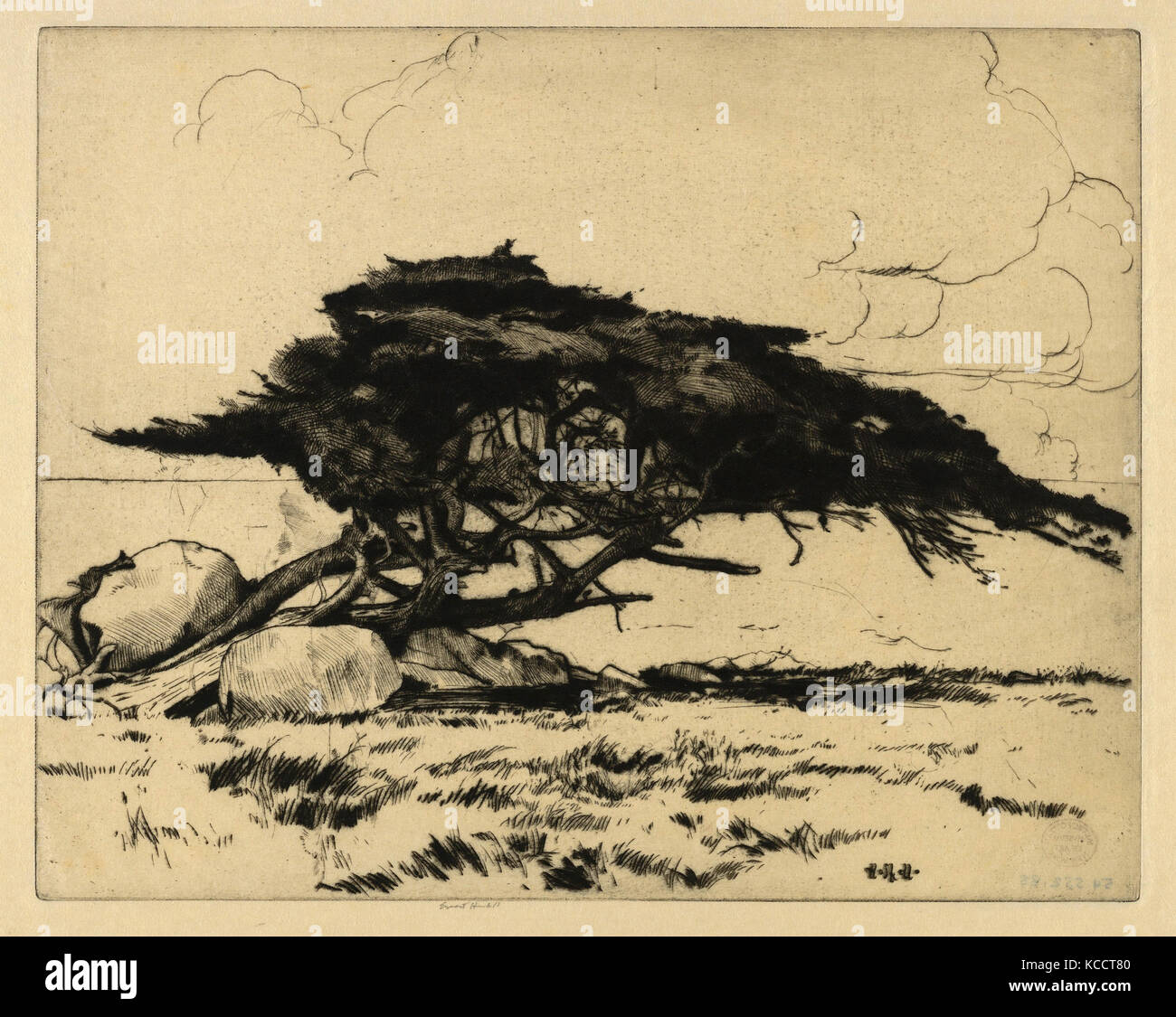 Drawings and Prints, Print, Dolphin, Artist, Ernest Haskell, American ...