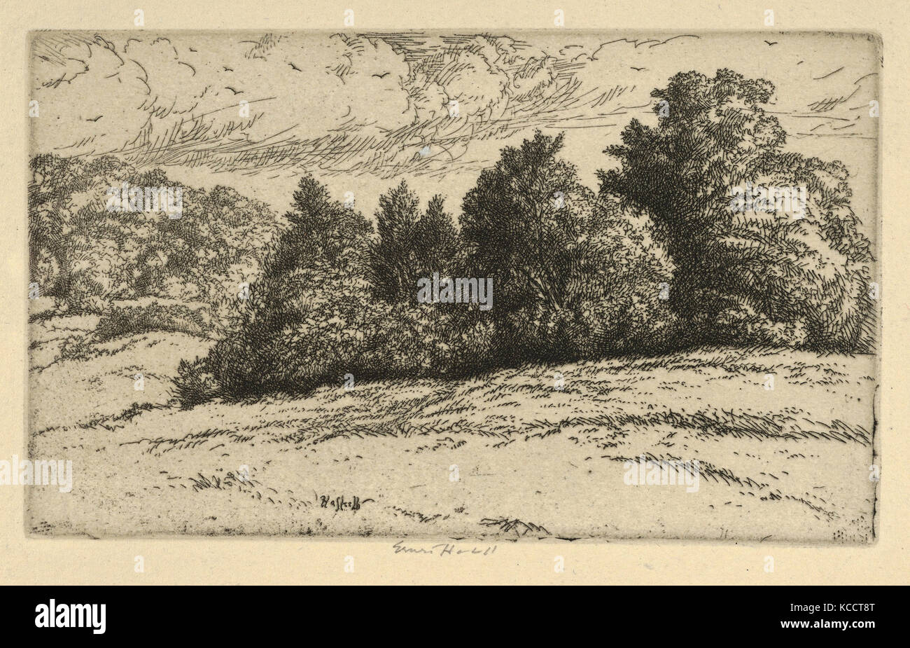 Drawings and Prints, Print, Meadow Trees, Artist, Ernest Haskell ...