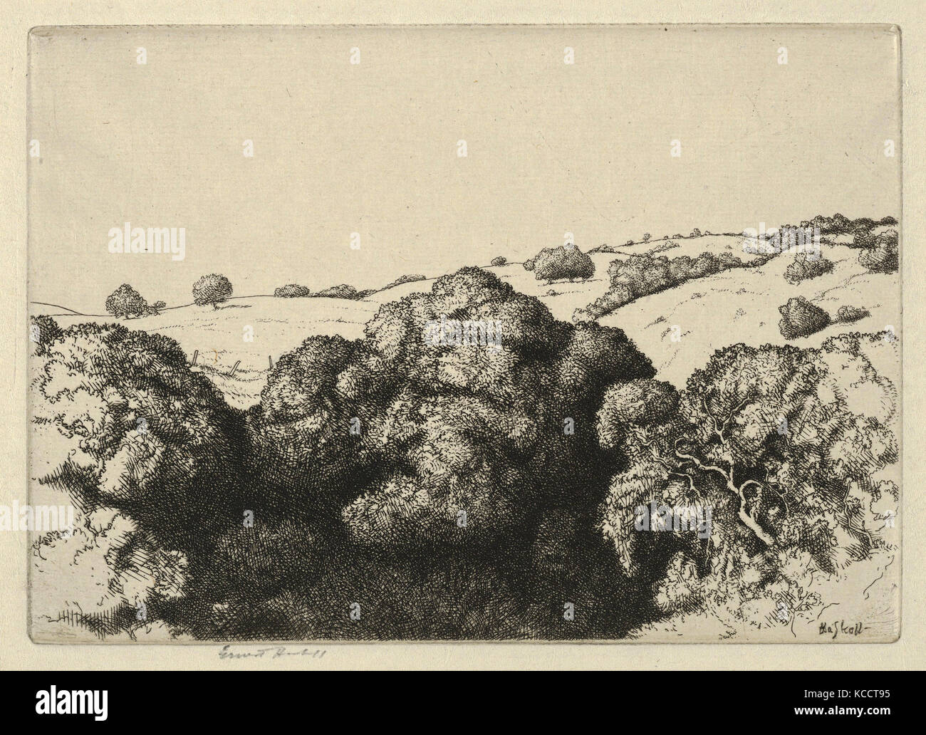 Drawings and Prints, Print, Live Oak Shadows, Artist, Ernest Haskell ...