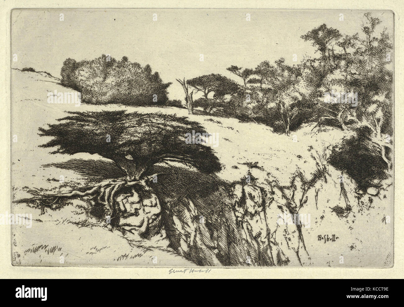Drawings and Prints, Print, Fan Tree and Her Canyon, Artist, Ernest ...