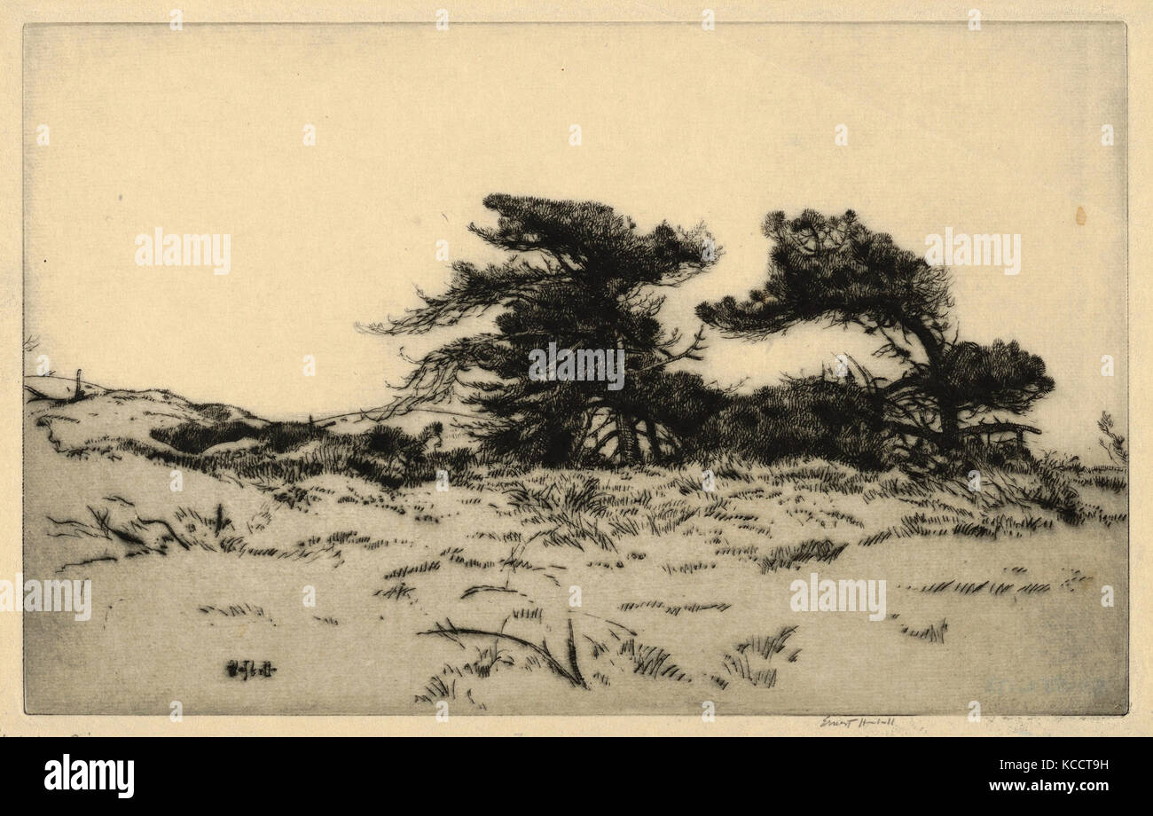 Drawings and Prints, Print, Lighthouse Pines No. 2, Artist, Ernest ...