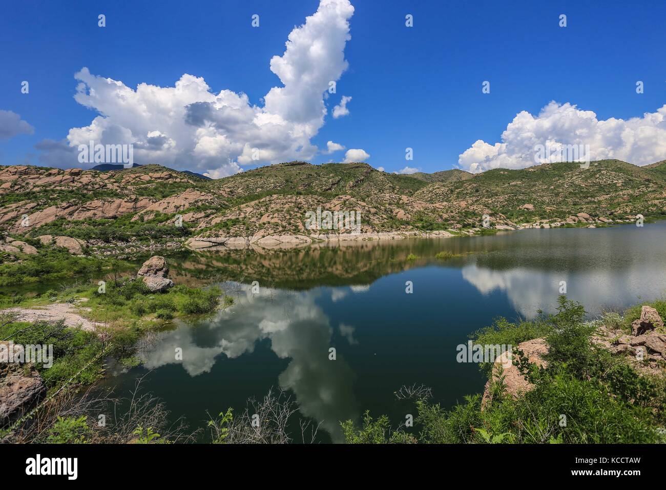 Presa LA ANGOSTURA en Sonora. Madrean Diversity Expeditions con la ...