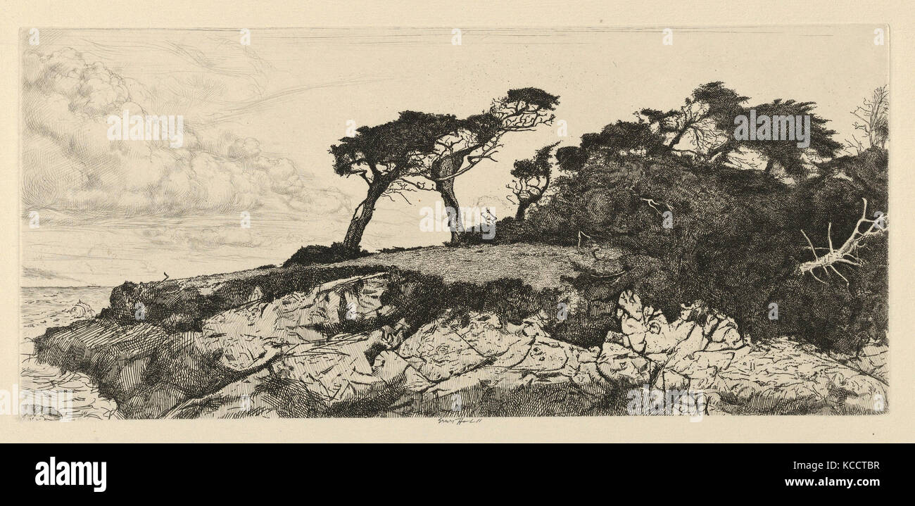 Drawings and Prints, Print, The Ostrich, Artist, Ernest Haskell ...