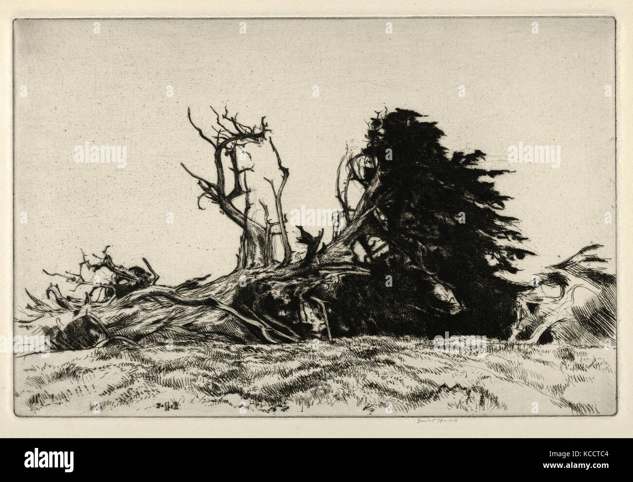 Drawings and Prints, Print, Fallen Centuries, Artist, Ernest Haskell ...