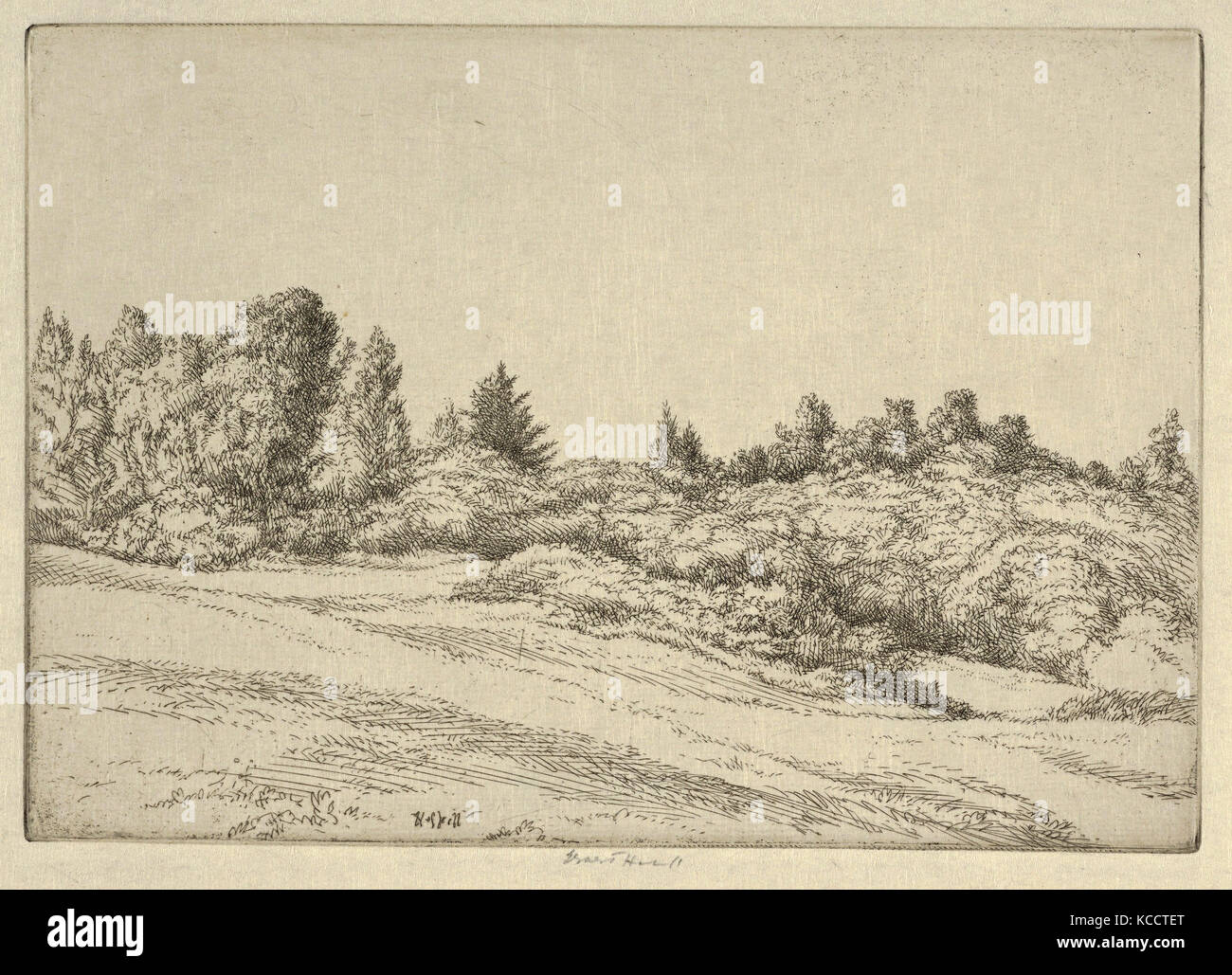 Drawings and Prints, Print, Small Point Field, Artist, Ernest Haskell ...