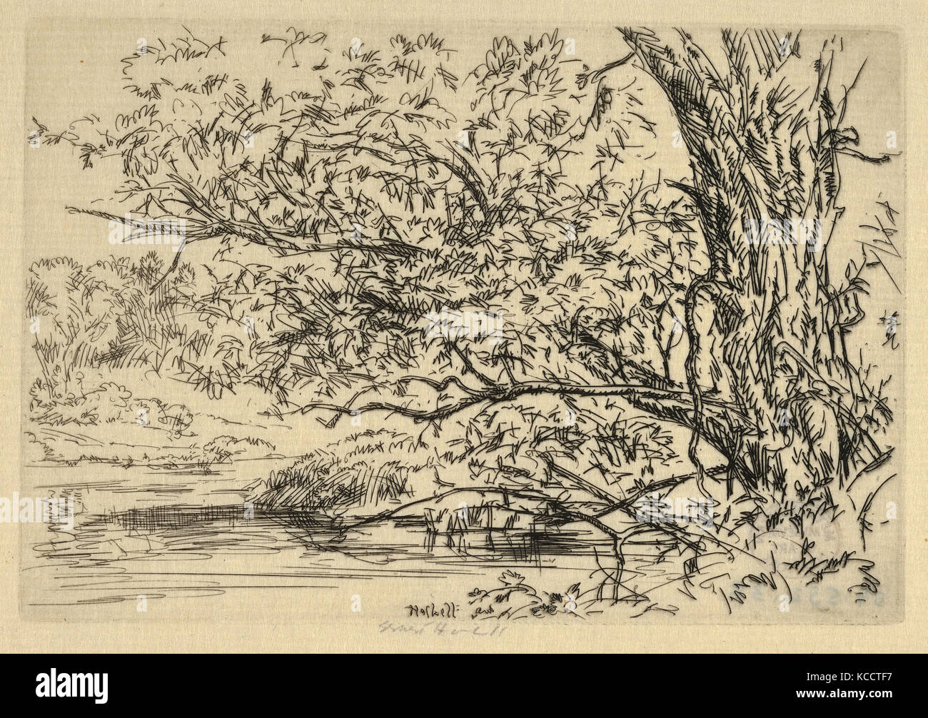 Drawings and Prints, Print, Willow and Water, Artist, Ernest Haskell ...