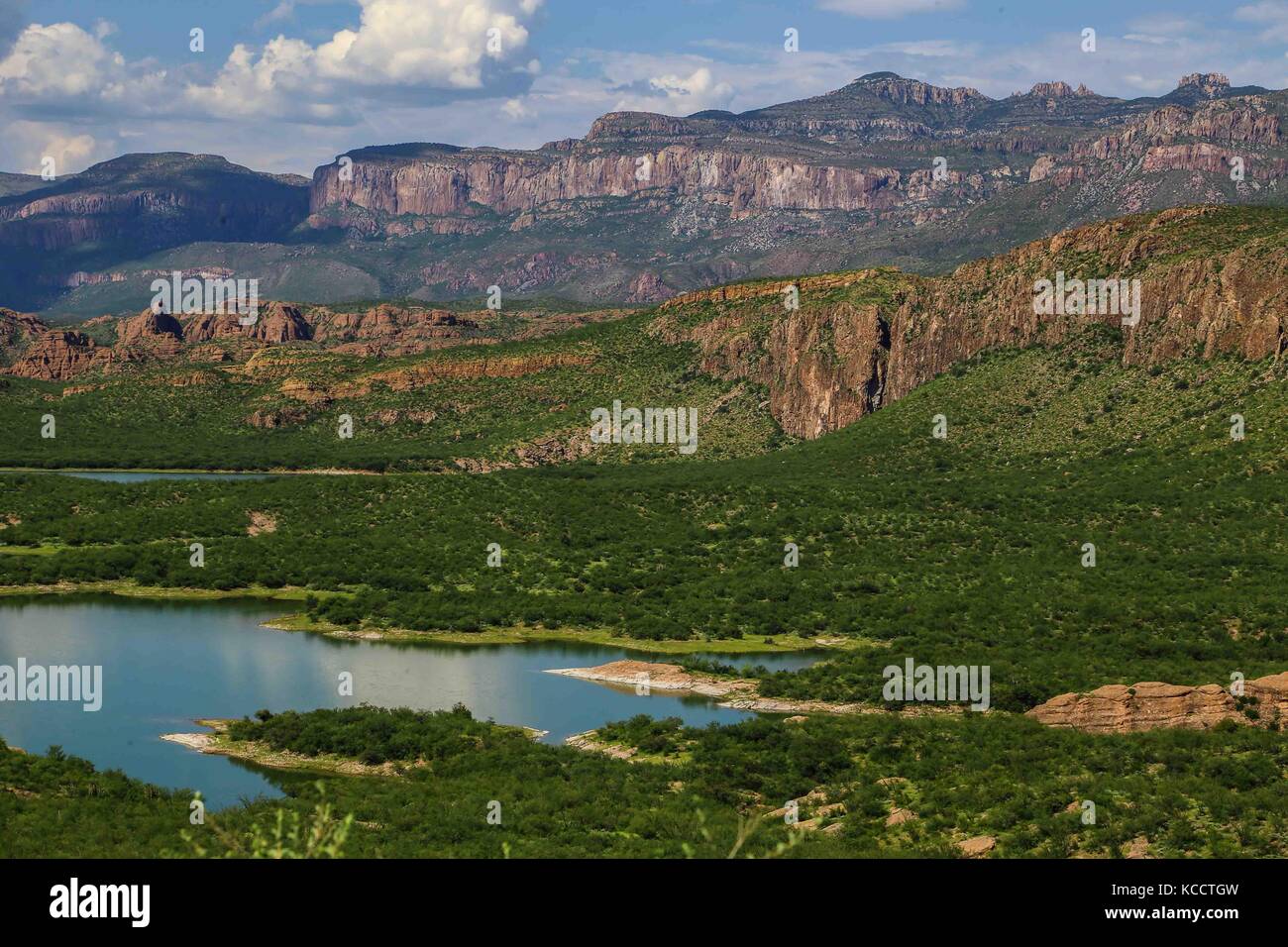 Presa LA ANGOSTURA en Sonora. Madrean Diversity Expeditions con la ...
