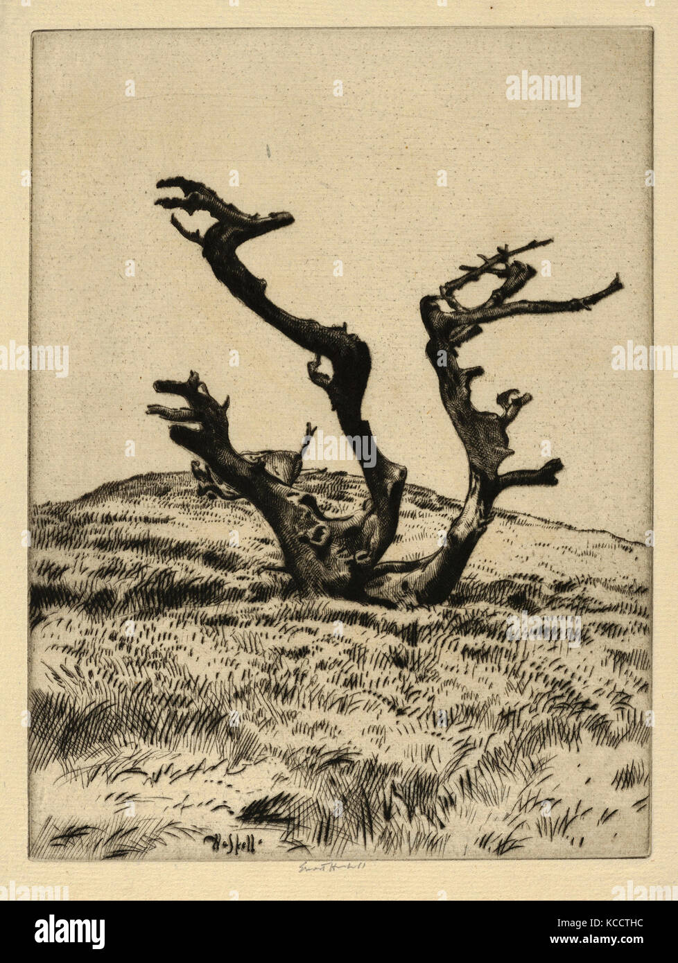 Drawings and Prints, Print, Three Witches, Artist, Ernest Haskell ...