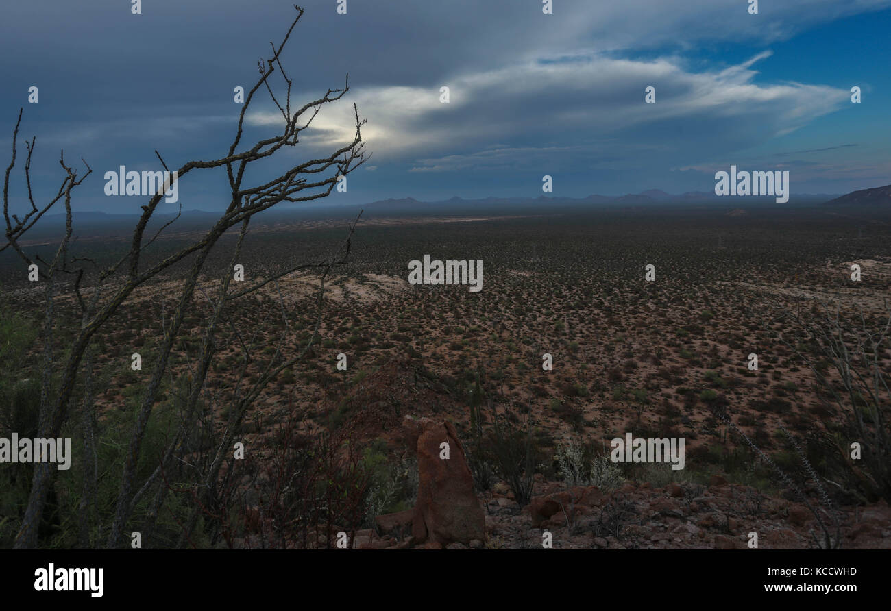 Desert of Desemboque in Sonora, Mexico. Territory of the Comcaac tribe ...