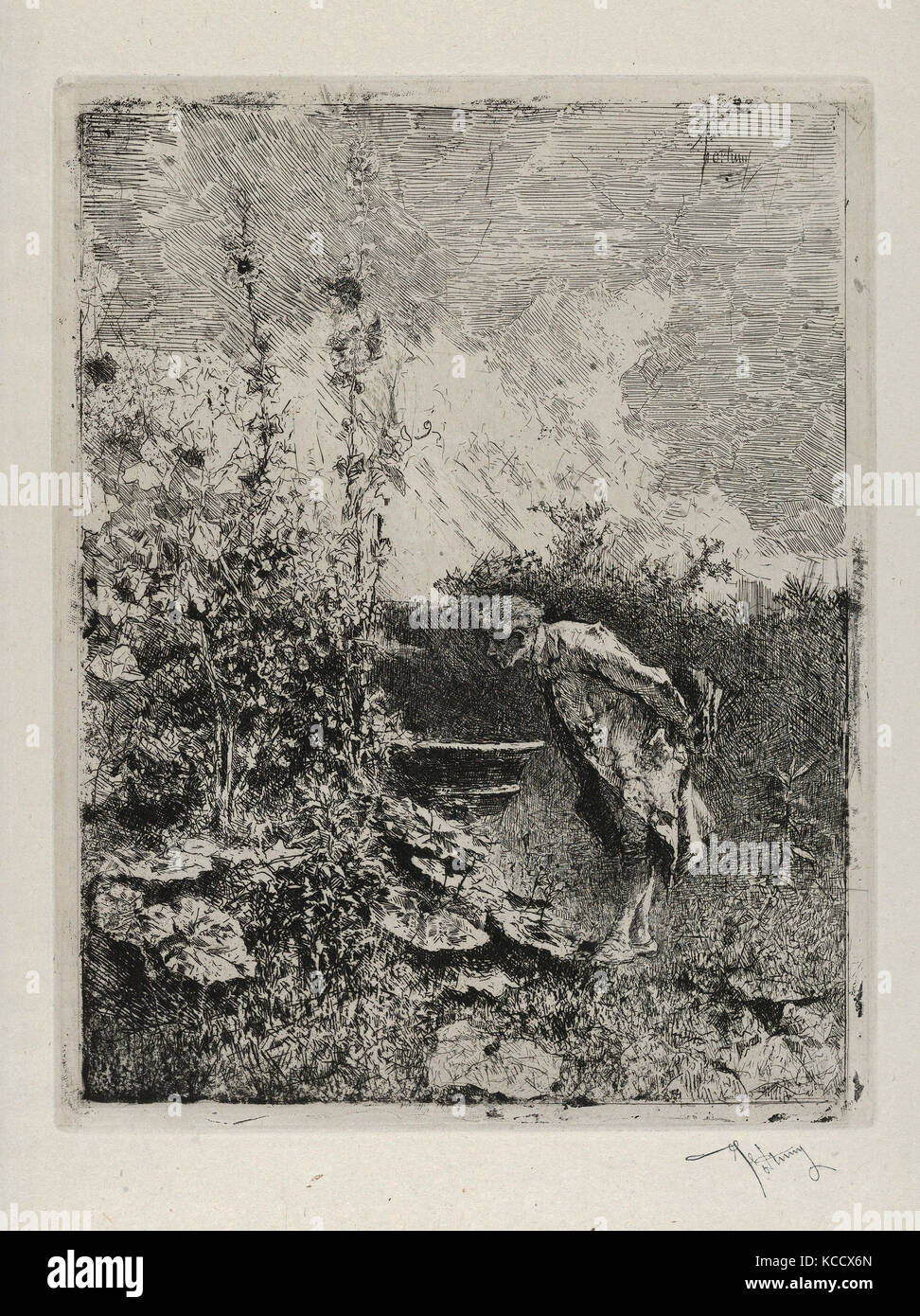 Drawings and Prints, Print, The botanist: a man in a garden examining ...
