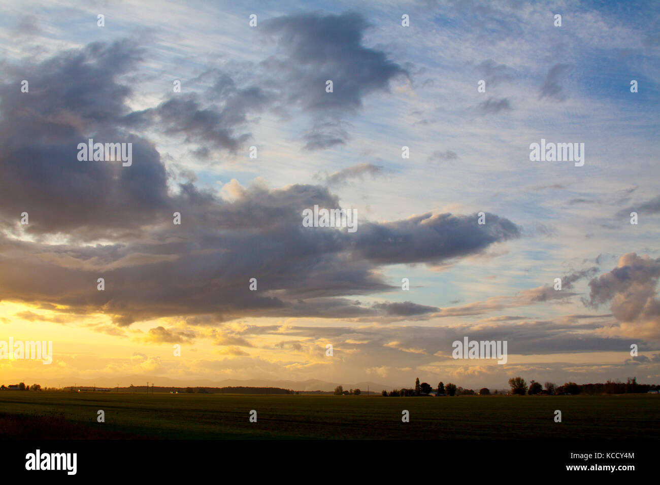 Field at golden hour hi-res stock photography and images - Alamy