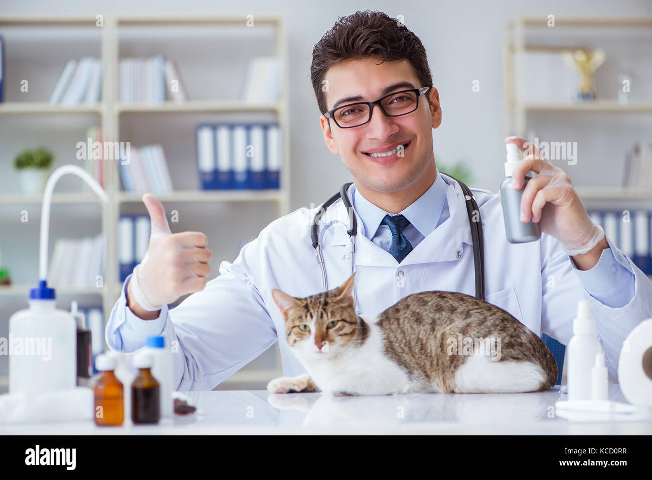Cat visiting vet for regular check up Stock Photo - Alamy