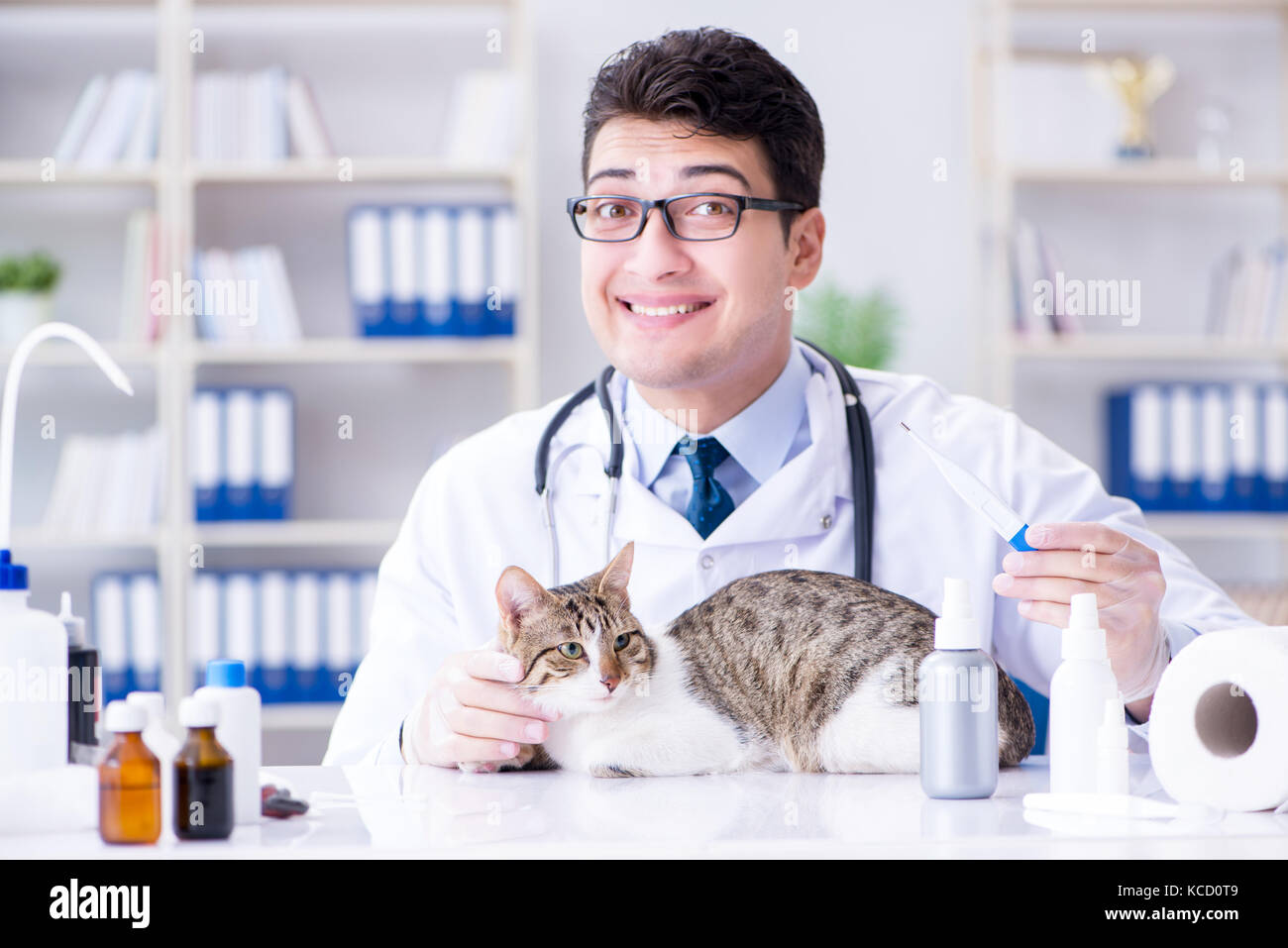 Cat visiting vet for regular check up Stock Photo - Alamy