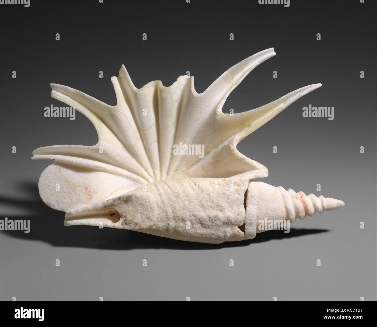 Greek shell hi-res stock photography and images - Alamy