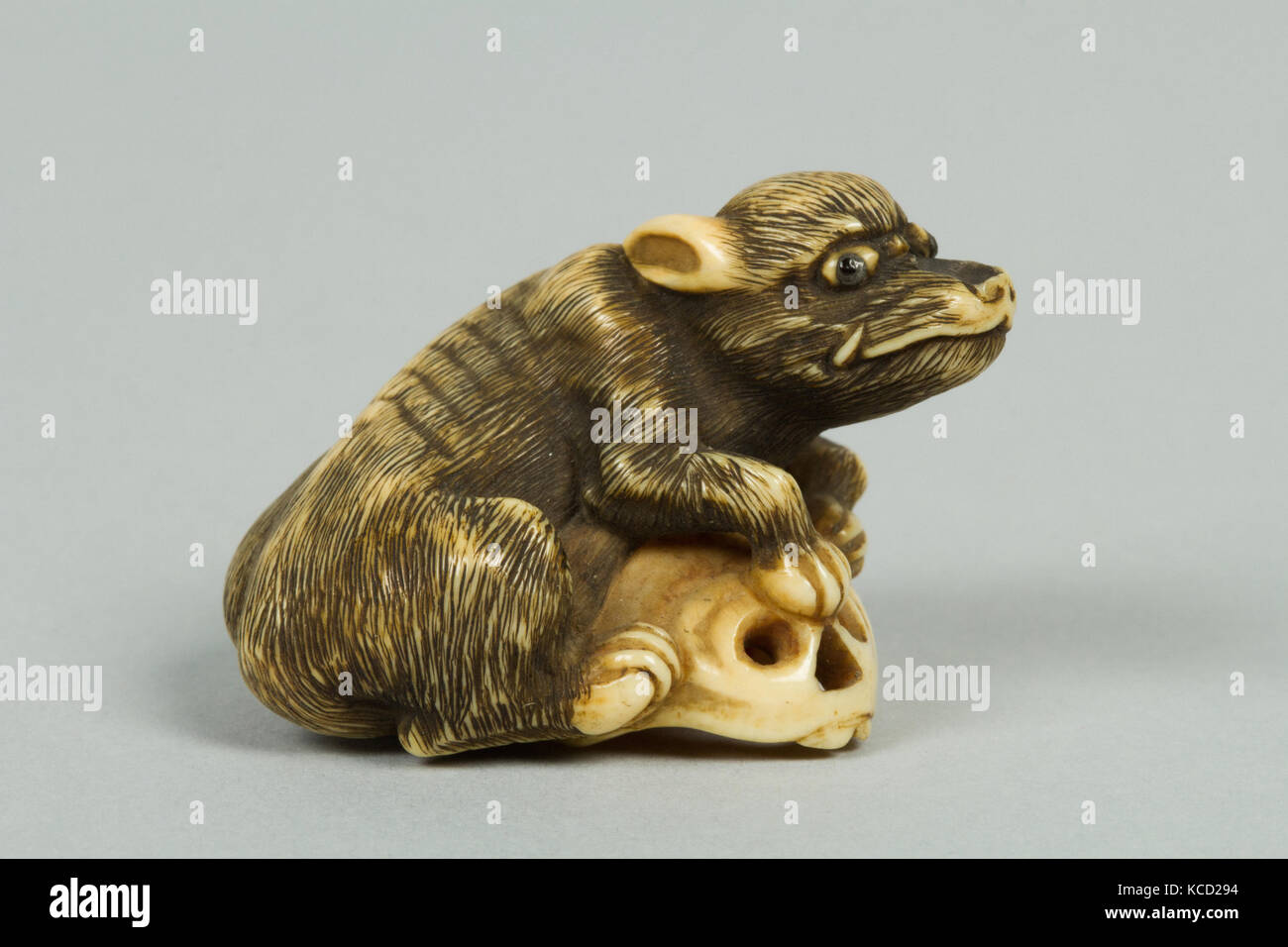 Netsuke of Boar with a Human Skull, 19th century, Japan, Ivory, H. 1 in ...