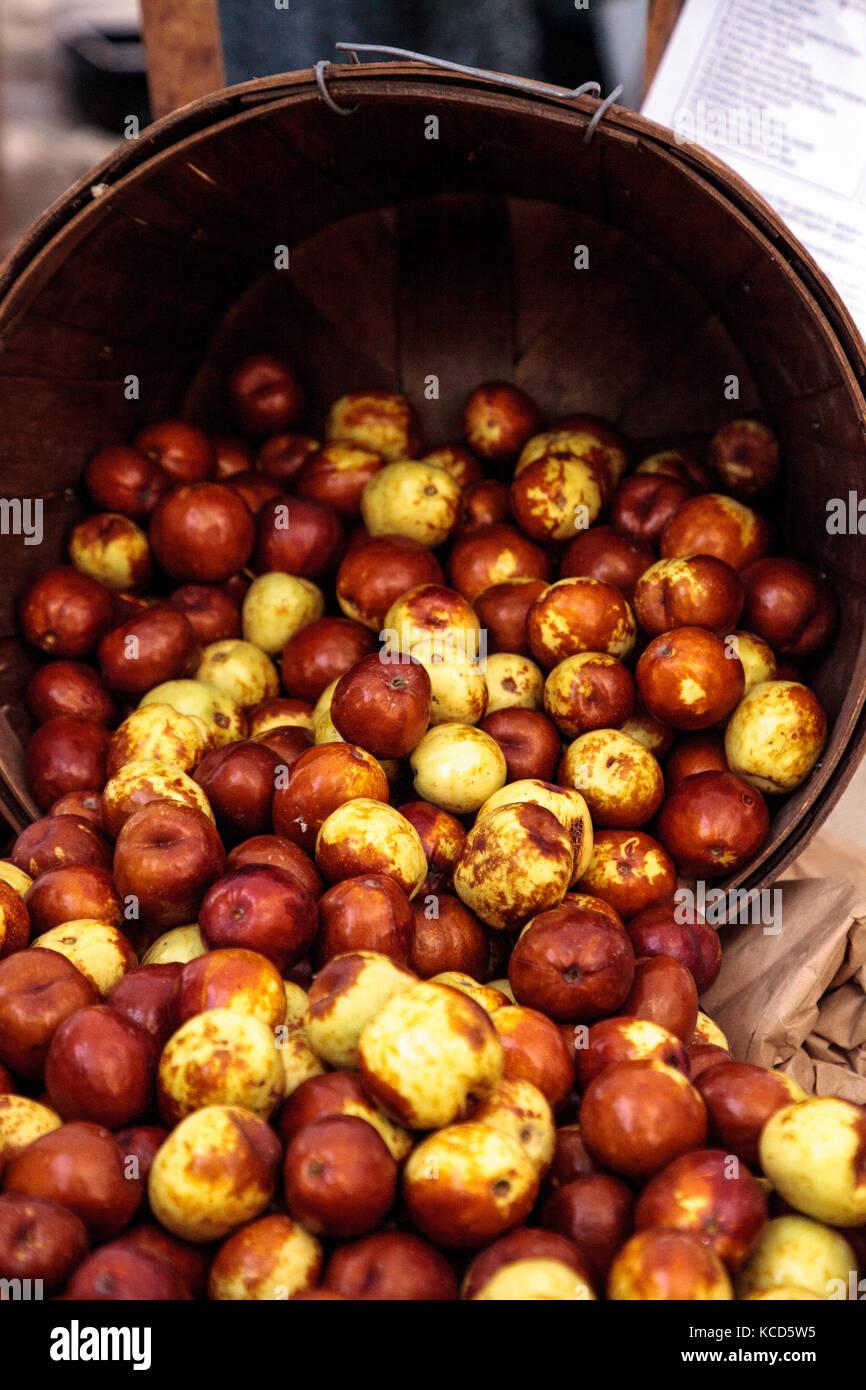 Bushel of brown ziziphus jujube dates also called red date or Chinese ...