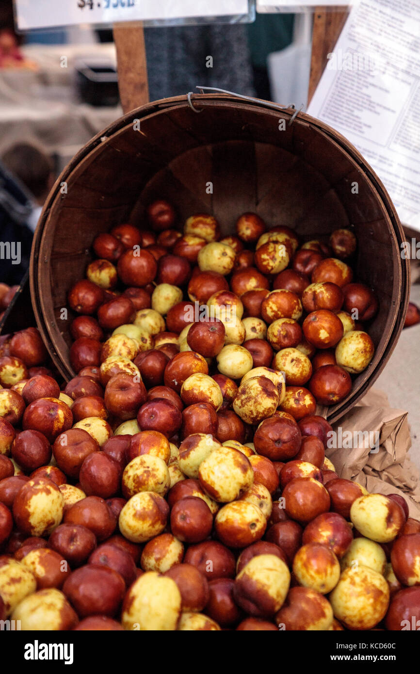 Bushel of brown ziziphus jujube dates also called red date or Chinese ...