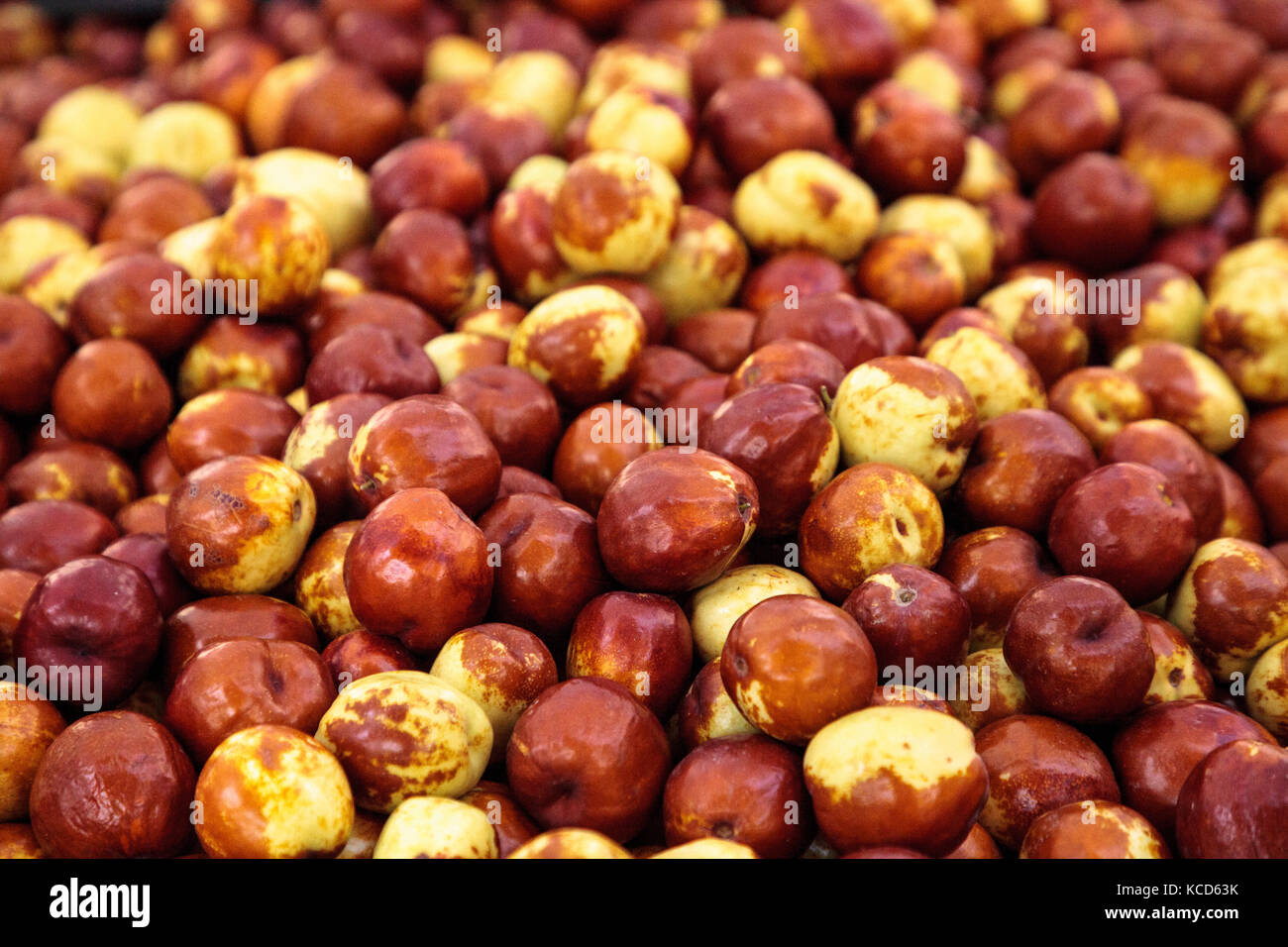 Bushel of brown ziziphus jujube dates also called red date or Chinese ...