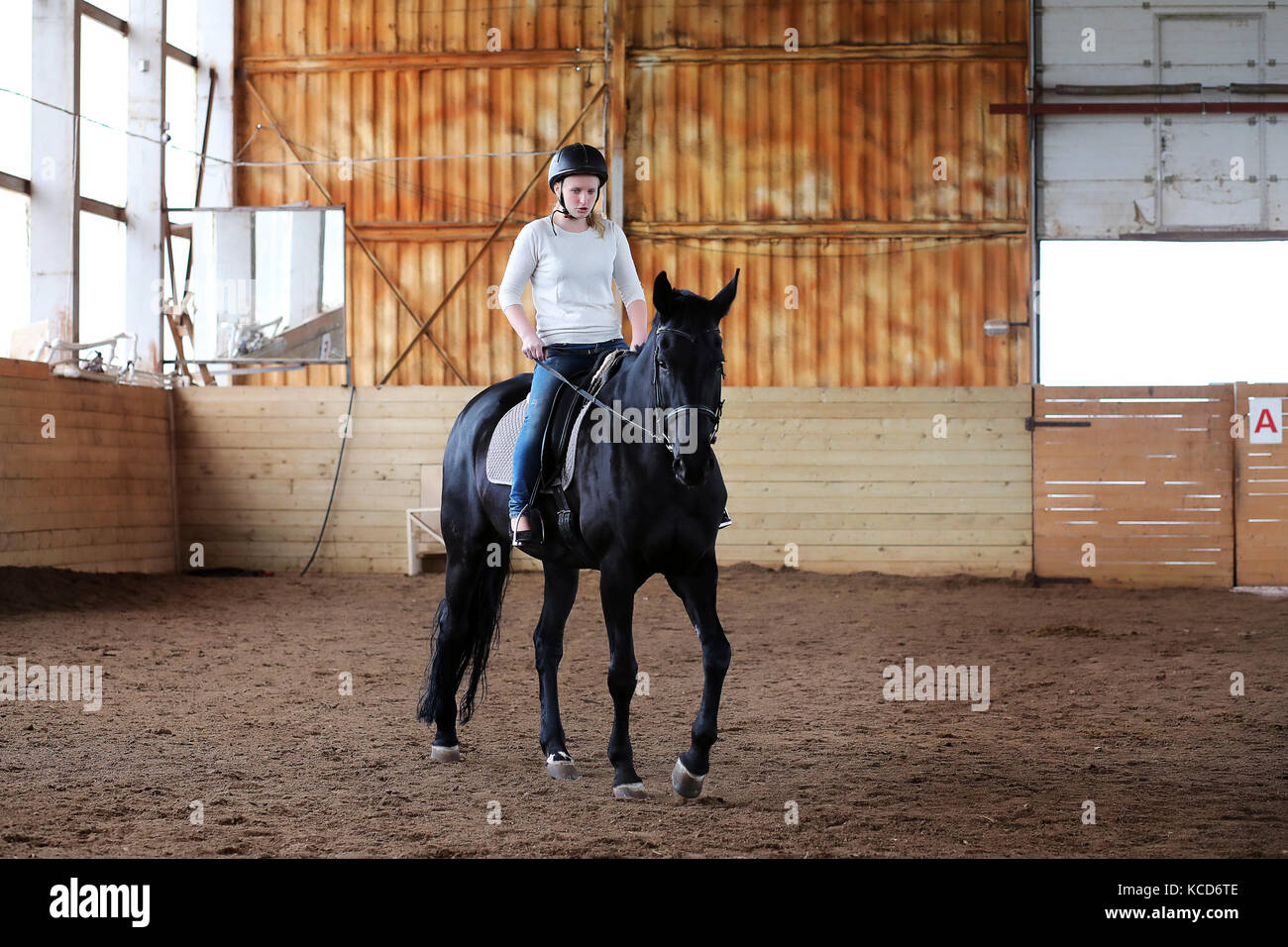 People on a horse training in a wooden arena Stock Photo - Alamy