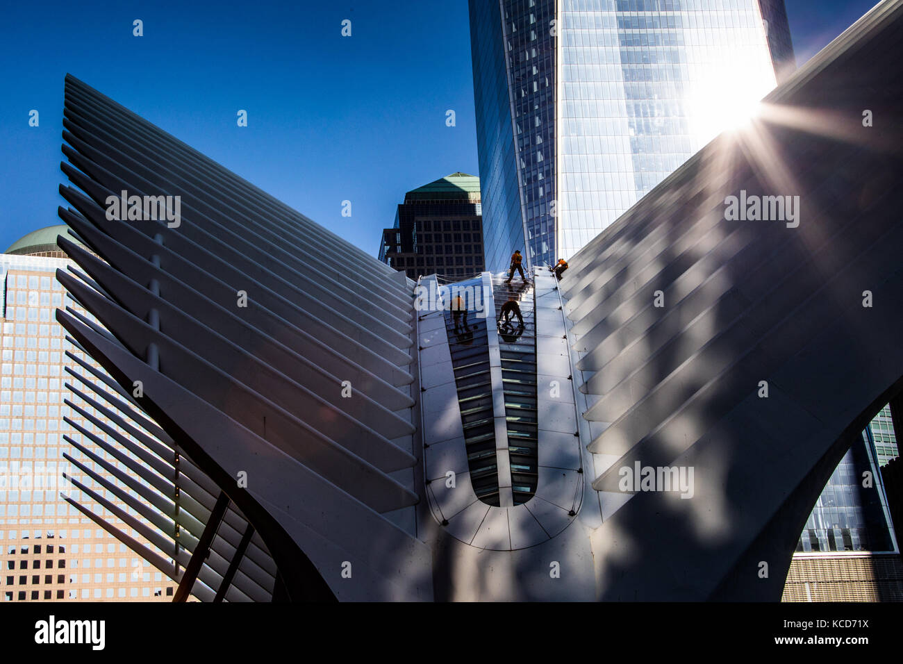 Oculus Architecture Window